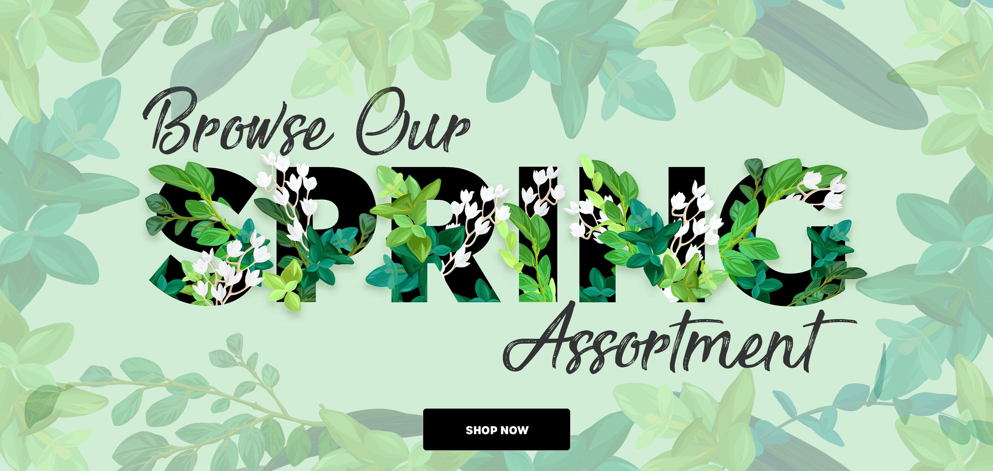 Welcome to Open Road Brands | Shop-ORB