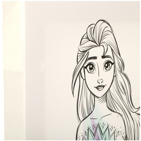 Disney Frozen Elsa Create Your Own Magic Canvas Wall Decor | Open Road ...