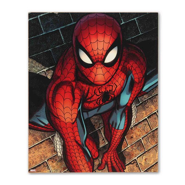 Marvel Spider-Man - Brick Wall Close-Up Wood Wall Decor | Open Road ...