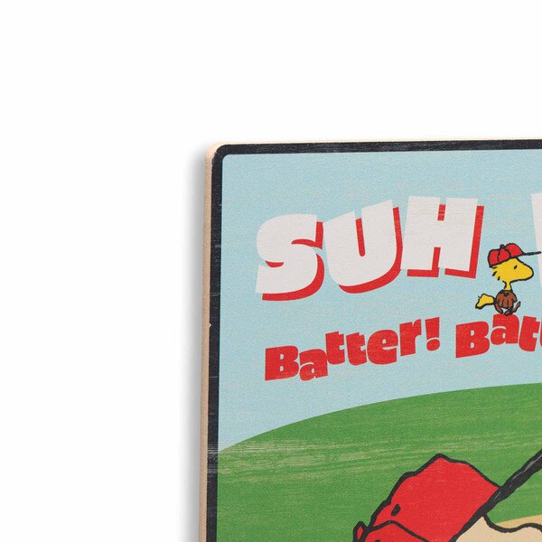 Peanuts Suh-Wing Batter Batter Charlie Brown & Snoopy Baseball Home ...