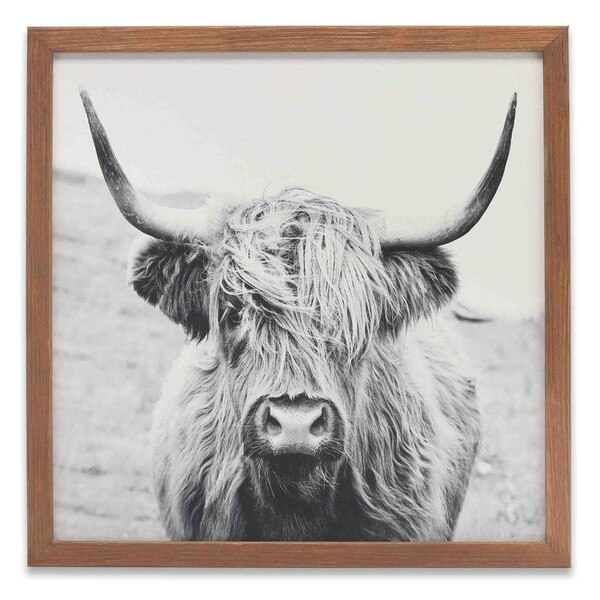 Highland Cow Bull Black & White Framed Wood Wall Decor | Open Road ...